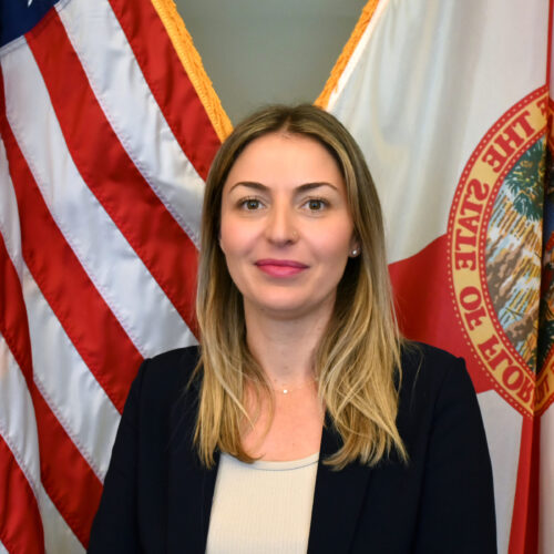 Information Technology Industry in Florida