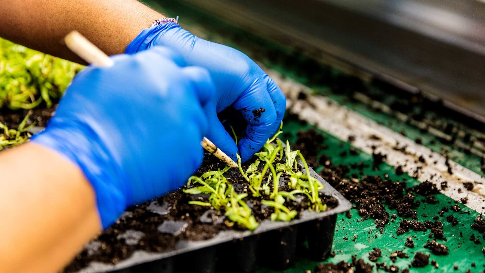 Cleantech | Florida’s Major Industries