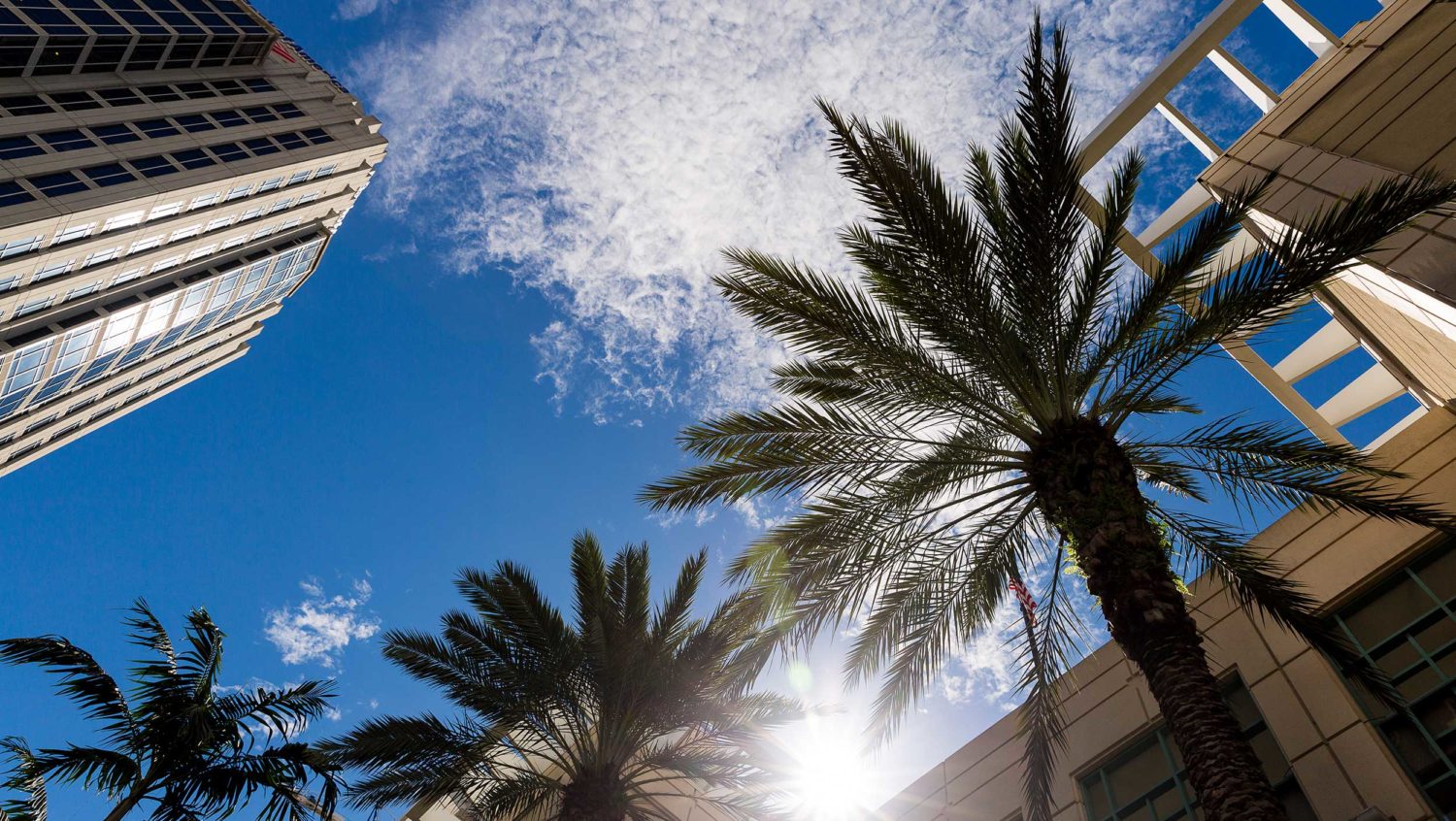 Florida’s Trade Offices Can Help You Expand Globally